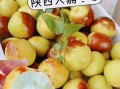 大荔冬枣的功效与作用_孕妇能吃吗