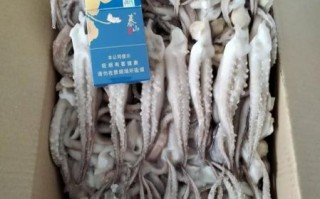 鱿鱼圈是真鱿鱼吗_冷冻鱿鱼圈原料揭秘