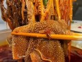 麻辣涮毛肚怎么做好吃_麻辣涮毛肚的做法大全