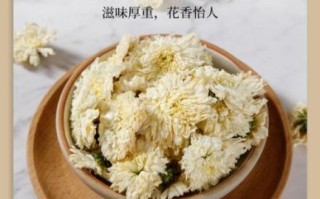 菊花茶哪种好_效果最好的菊花茶是哪种