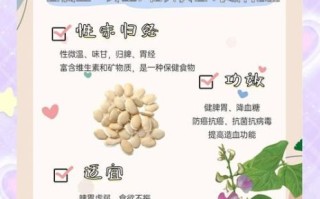 白扁豆的功效与作用_白扁豆怎么吃最健脾