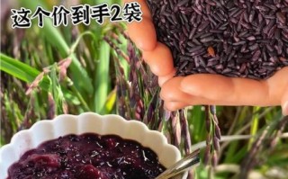 血糯米的功效与作用_血糯米怎么做好吃