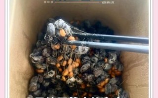 家庭自制纳豆怎么做_纳豆发酵温度是多少