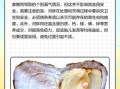 河蚌的营养价值有哪些_河蚌的功效与作用及禁忌