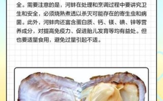 河蚌的营养价值有哪些_河蚌的功效与作用及禁忌