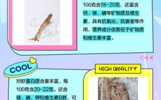 对虾和基围虾哪个贵_2024最新批发价对比