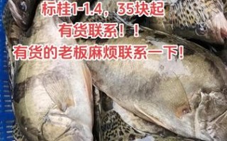 鳜鱼多少钱一斤_鳜鱼价格行情