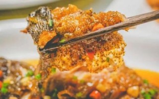 石斑鱼价格排行_石斑鱼多少钱一斤