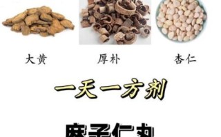 麻子仁是什么_麻子仁丸怎么服用
