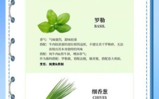 百里香叶怎么用_百里香叶的功效与作用