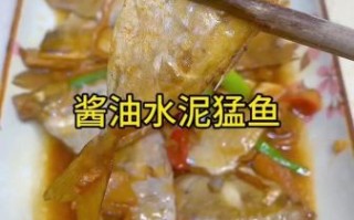 泥猛鱼汤怎么做好喝_泥猛鱼汤的家常做法