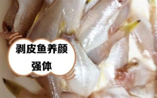 剥皮鱼为什么要剥皮_剥皮鱼怎么处理干净