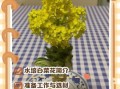 开水白菜如何开花_开水白菜开花条件