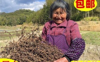 烧仙草配料有哪些_烧仙草里都有什么料