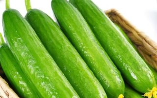 黄瓜热量高还是西红柿热量高_减肥吃哪个更好
