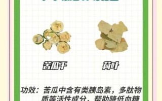 苦瓜能减肥吗_苦瓜怎么吃减肥最快