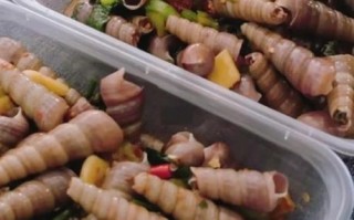 锥螺怎么吃_锥螺怎么清洗