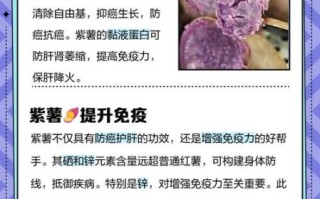 紫红薯的功效与作用_紫红薯能减肥吗