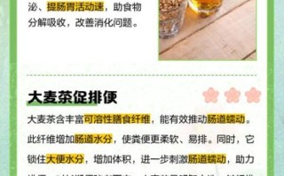 大麦茶可以长期喝吗_大麦茶每天喝多少合适