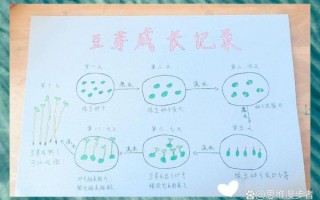 绿豆发芽需要几天_绿豆生长过程图片8张