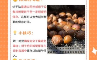 煮栗子怎么煮_栗子煮多久才软糯
