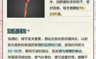 鹿鞭怎么吃效果最好_鹿鞭泡酒配方比例