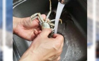 绑着的大闸蟹怎么清洗干净_大闸蟹清洗步骤图解