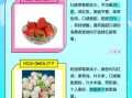 牛奶草莓和红颜草莓的区别_哪个更甜
