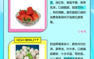 牛奶草莓和红颜草莓的区别_哪个更甜