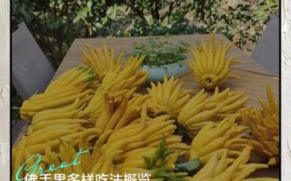 佛手柑怎么吃最好_佛手柑的食用方法