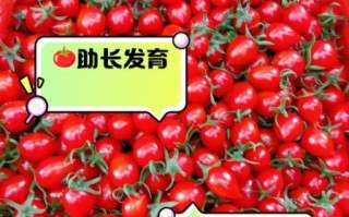 吃小番茄的好处有哪些_小番茄一天吃多少合适