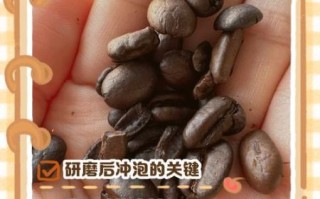 咖啡豆可以直接冲泡吗_咖啡豆不磨能泡出咖啡吗