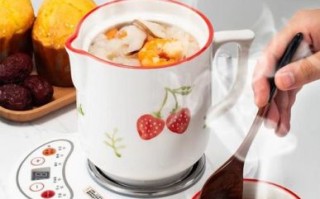 电炖杯养生食谱_电炖杯怎么炖养生汤