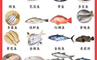 经常吃的海鱼有哪几种_哪些海鱼适合家常烹饪