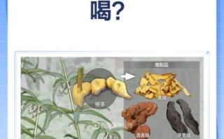 酒黄精的功效与作用_酒黄精怎么吃效果最好