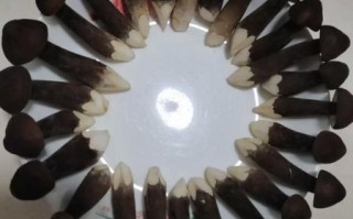 黑皮鸡枞菌怎么种_黑皮鸡枞菌种植技术