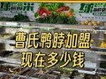 加盟鸭脖店得多少钱_挣钱吗