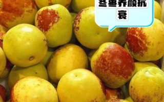 冬枣的营养价值_冬枣有哪些功效与作用