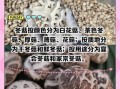 新鲜冬菇怎么保存_新鲜冬菇可以冷冻吗