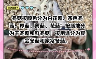 新鲜冬菇怎么保存_新鲜冬菇可以冷冻吗