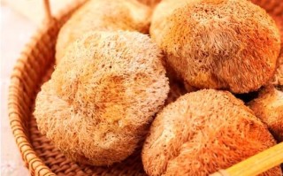 猴头菇怎么炒着吃_猴头菇炒多久才熟