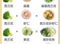 营养美食有哪些_如何搭配更健康