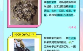 紫菜便宜海苔贵_区别在哪里