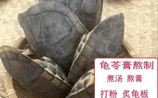 石金钱龟板龟苓膏配方_正宗做法与功效