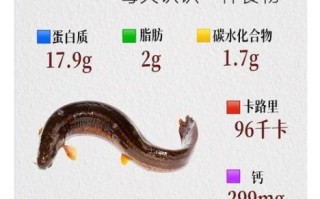 女人吃泥鳅的功效_泥鳅对女人有什么好处