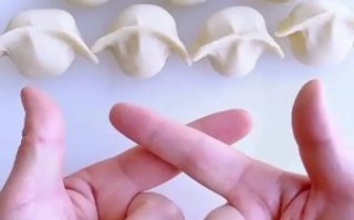 包饺子最简单手法_新手怎么快速学会