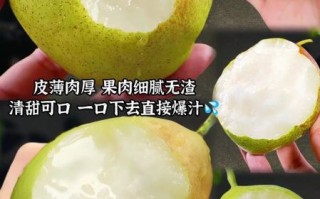 香梨怎么挑选_香梨产地哪里最好