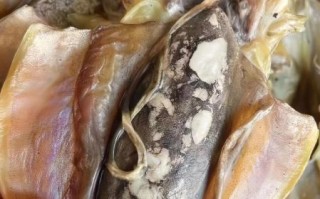 墨鱼干怎么泡发_墨鱼干泡发多久