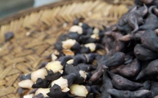 菱角的热量是多少_减肥能吃菱角吗