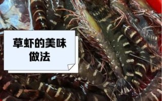 大草虾怎么做好吃_大草虾价格多少钱一斤
